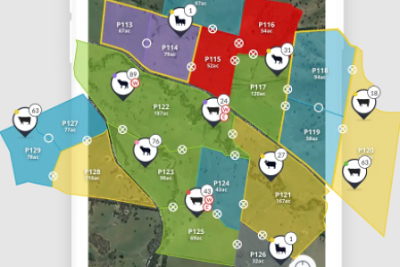 AgriWebb Launches Livestock Management Platform in U.S. - Drovers