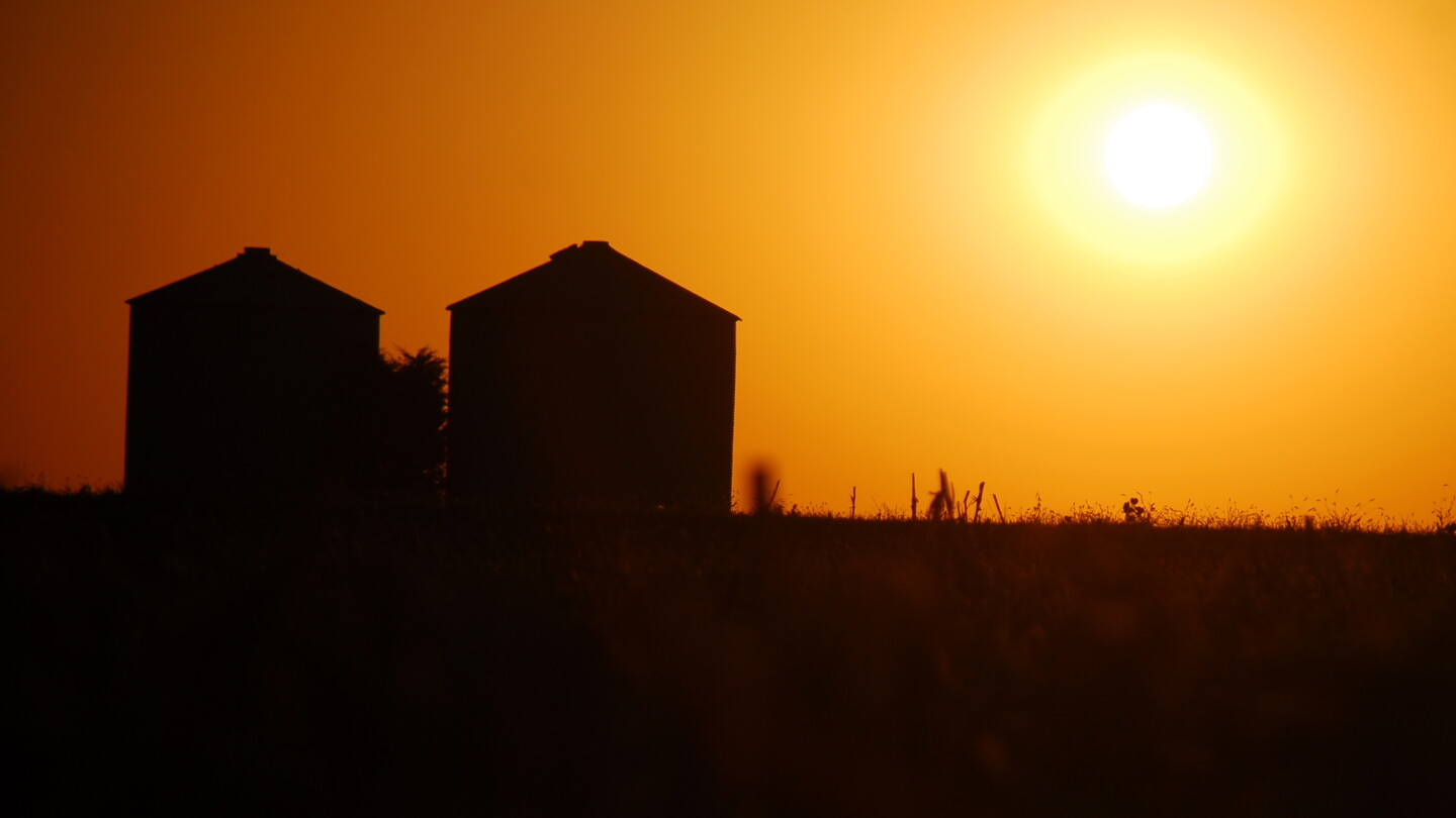 How to Avoid the 7 Common Grain Bin Storage Problems - AgWeb