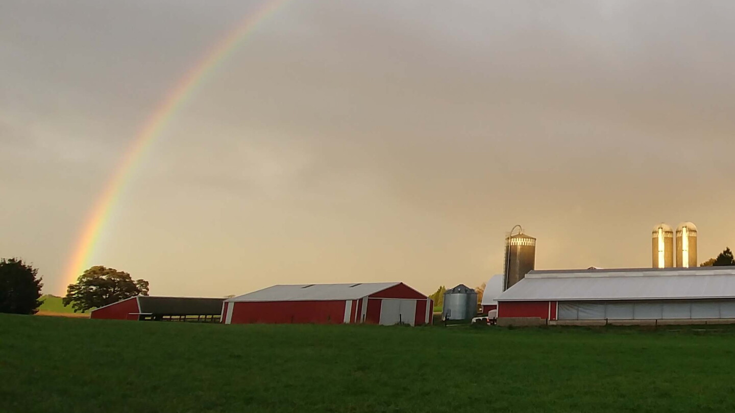 Ag Lender Encourages Farmers To Make Financial Decisions Based On ...