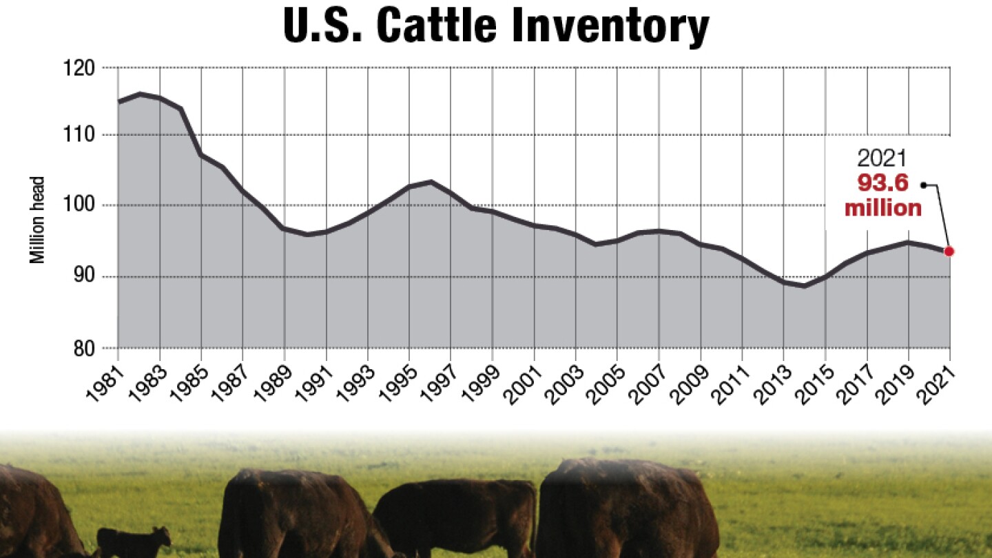 Cattle Inventory Down Slightly, Calf Crop Down 1%