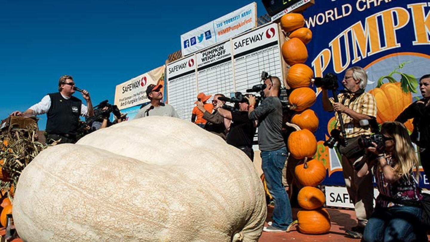 There's a 75% Chance Your Pumpkin Pie Started Here - The Packer