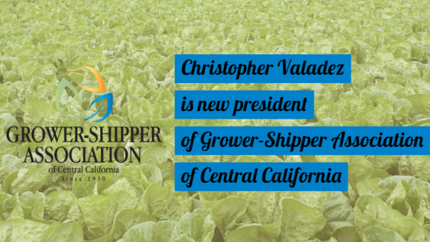 Christopher Valadez to lead Salinas grower-shipper group - The Packer