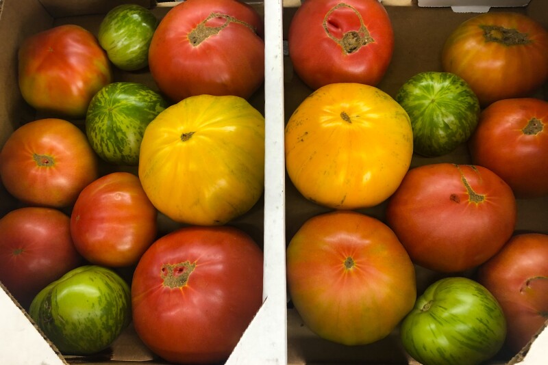 Hurricane Dorian: Florida Tomato Council reschedules conference - The ...