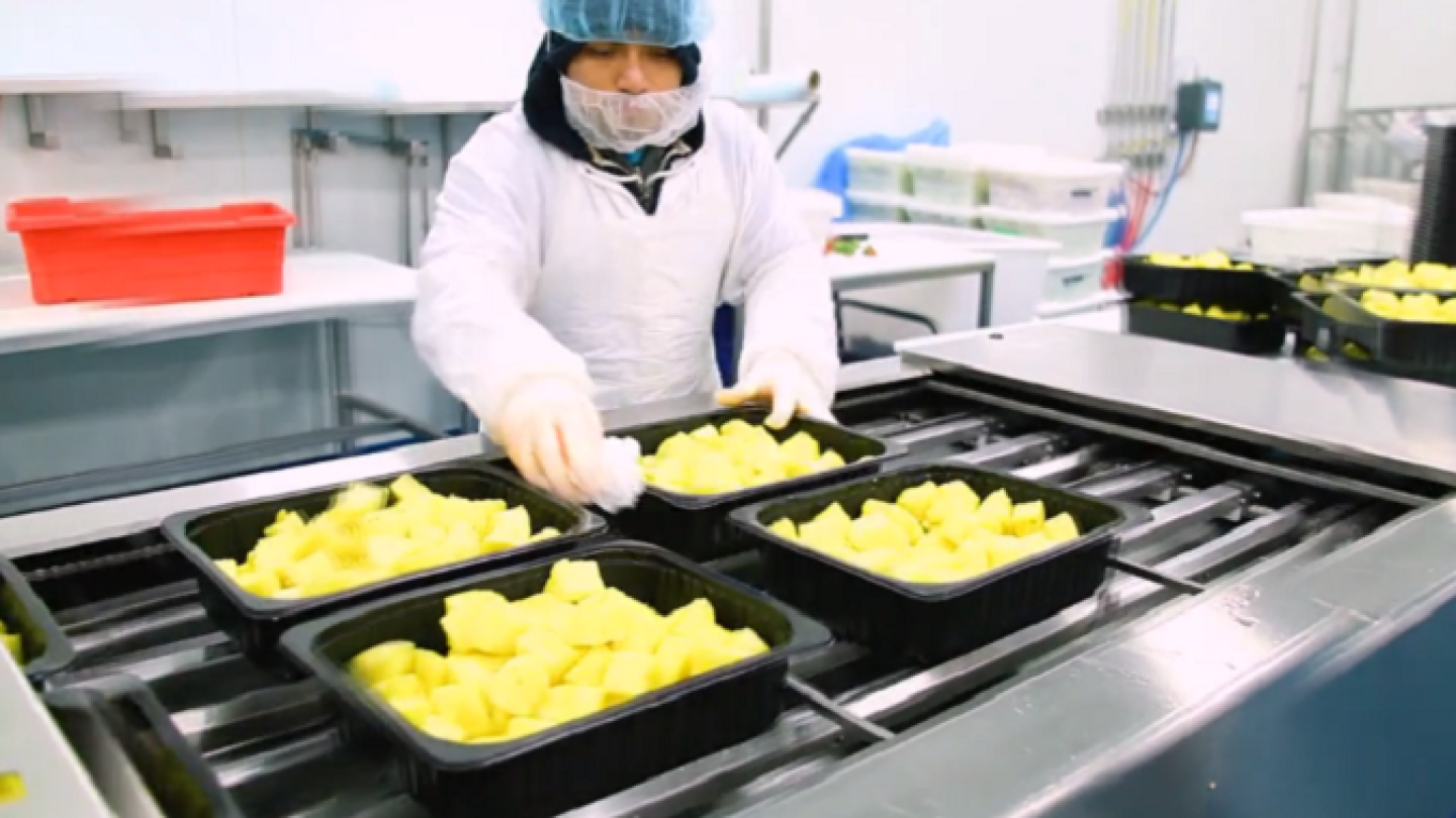 Caito Foods to close fresh-cut business - The Packer