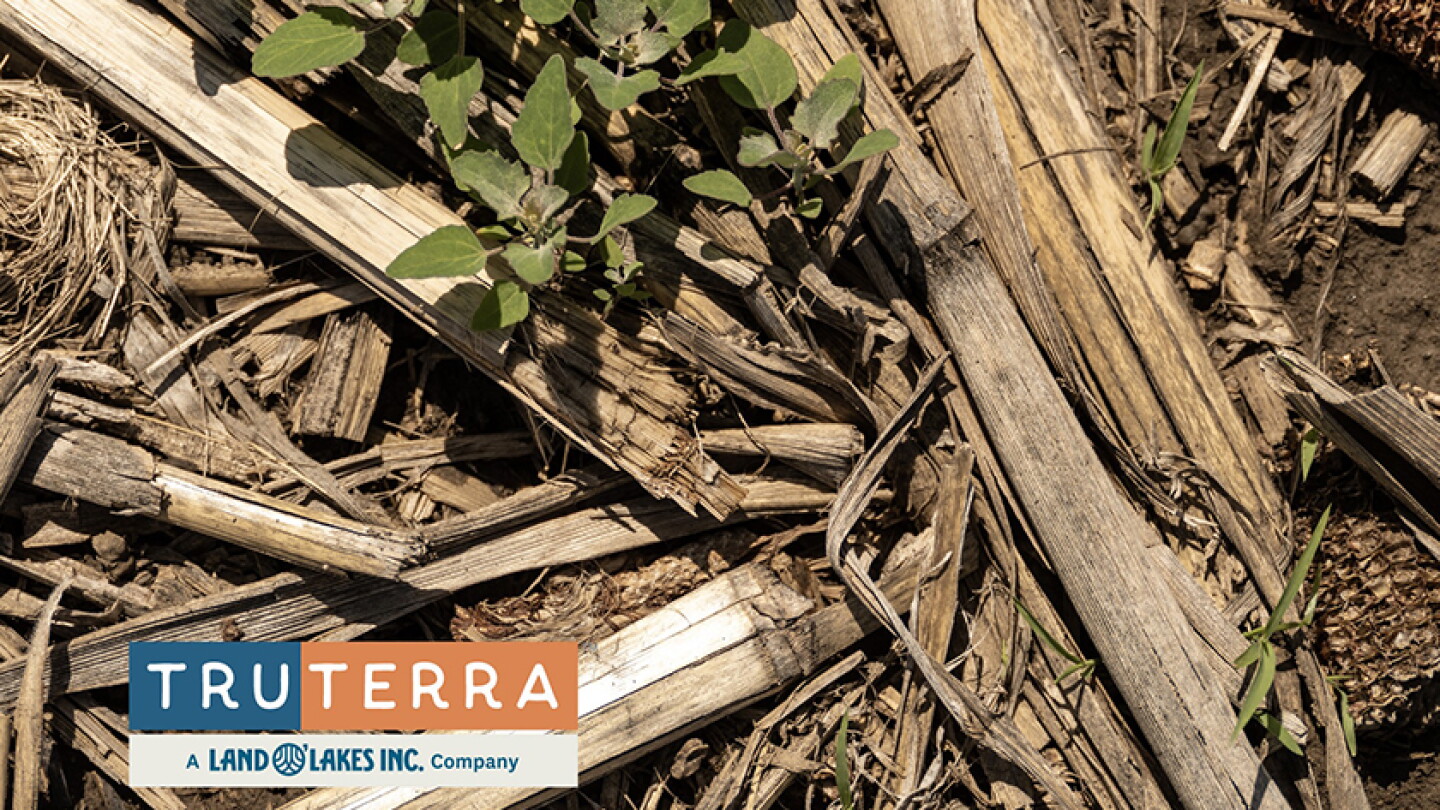 Truterra Pays $5.1 Million to Farmers for 2022 Carbon Program Payments ...