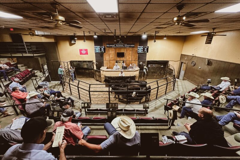 ‘Let me be clear, the Stockyards intends to thrive’ - AgWeb
