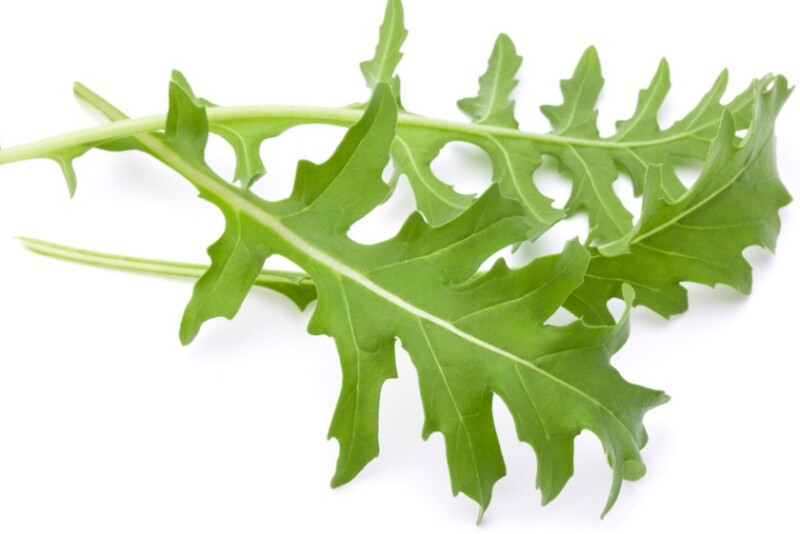 Seed breeder develops new arugula varieties in time for spring - The ...