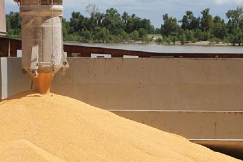 Why Has U.S. Agricultural Trade Reached a Net Import Position in Recent ...