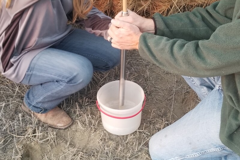 Forage Analysis Valuable to Develop Winter Feeding Programs