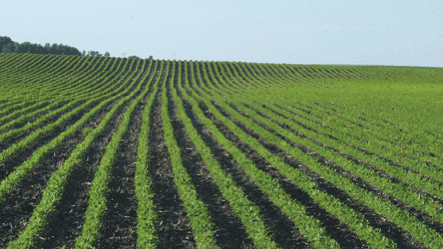 U.S. Farmland Values Enter New Phase - Pro Farmer