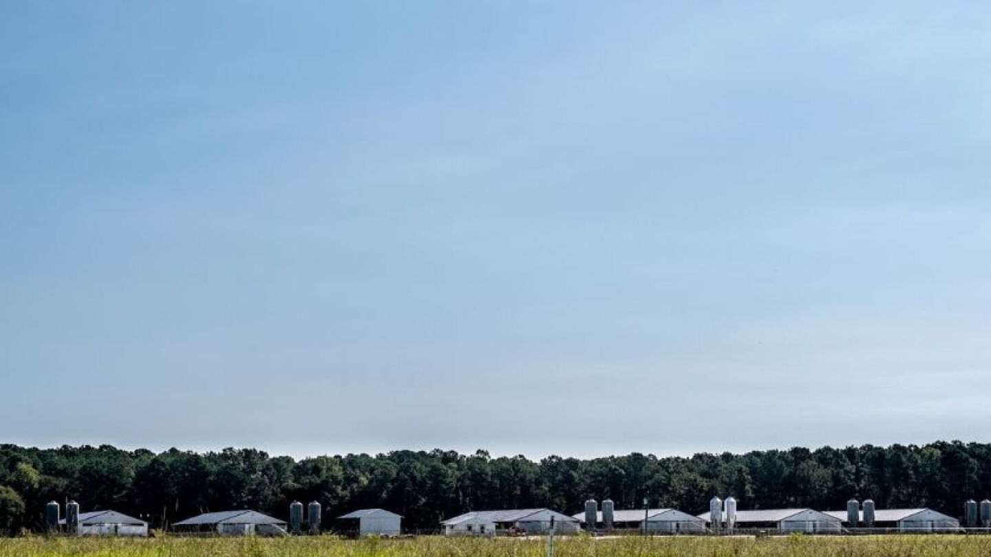 NC Residents in Top Pork-Producing Counties Reveal Their Perspective on ...