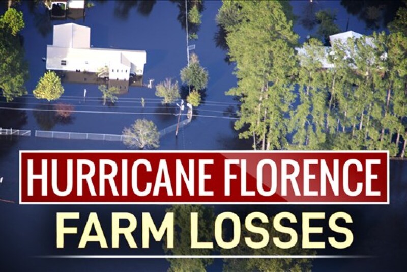 Total NC loss from Hurricane Florence more than $1.1 billion - The Packer