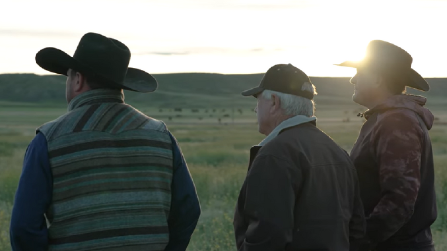 Bootheel 7 Livestock Recognized as the CAB Commercial Commitment to ...