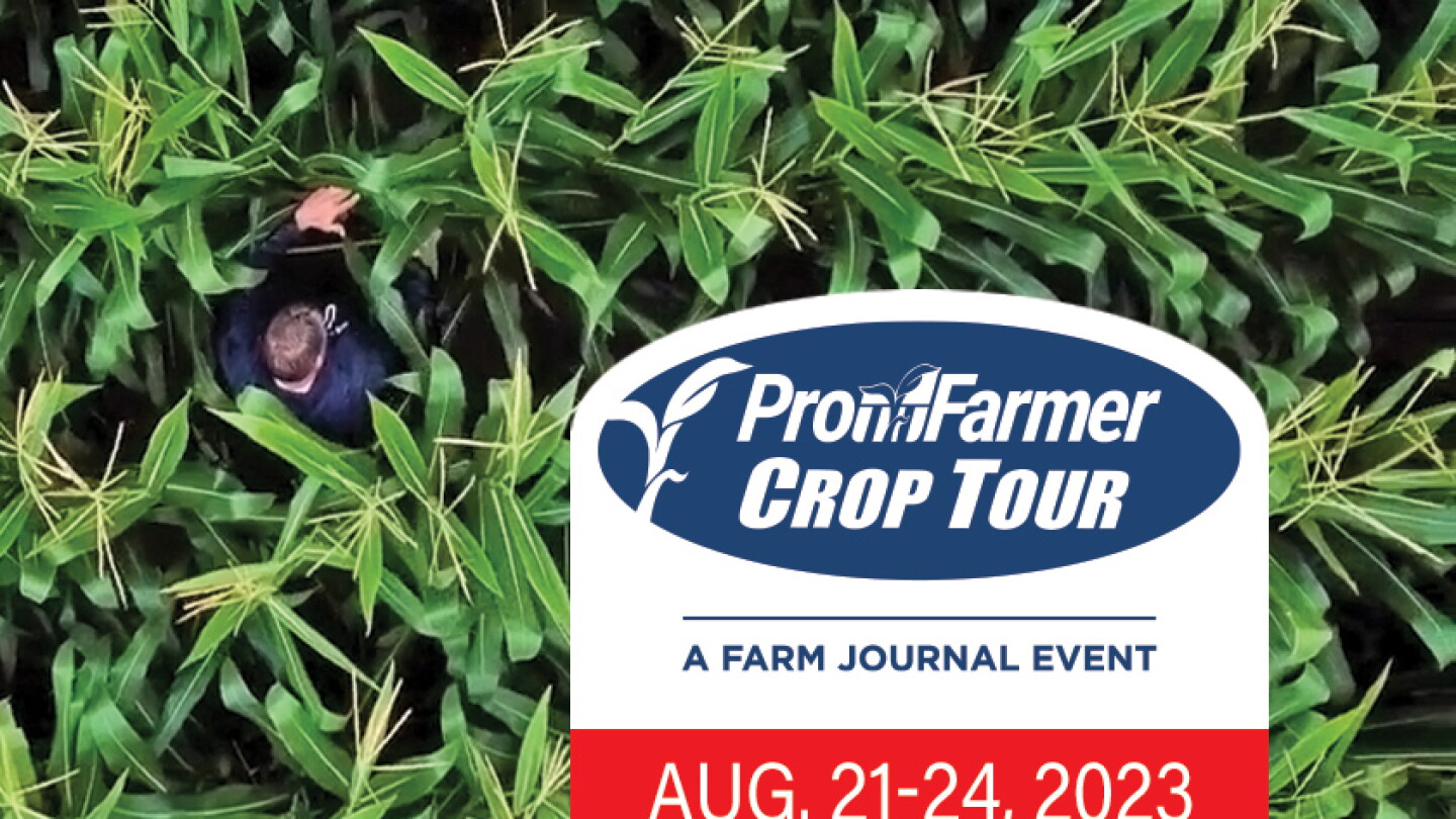 Countdown to Pro Farmer Crop Tour: A View From The Field - AgWeb