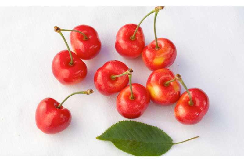 Chelan Fresh expects plenty of cherry promotions this summer - The Packer