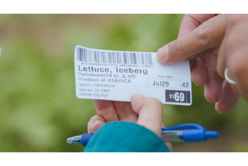 California LGMA survey looks at members’ traceability plans - The Packer