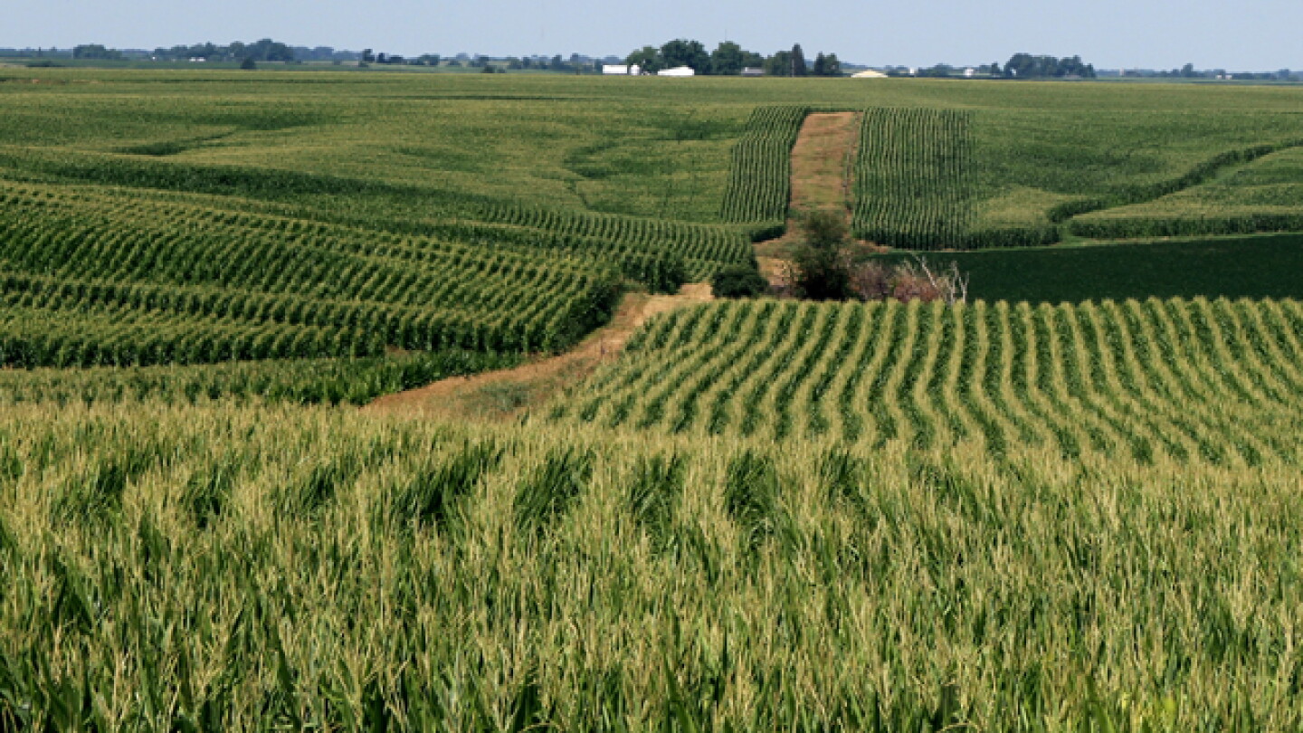 Large Farm Lender Sees Steady Farmland Market So Far - Pro Farmer