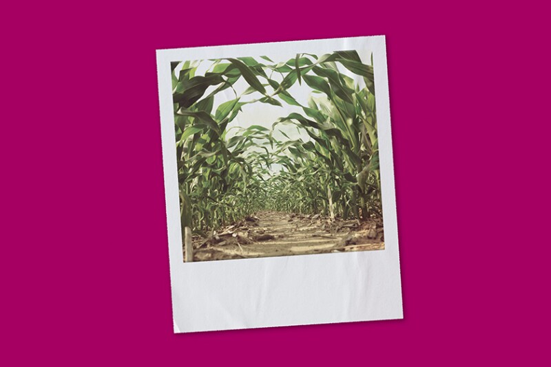 Not Your Father’s Fertilizer: 4 Ways Fertilizer Has Changed in 40 Years ...