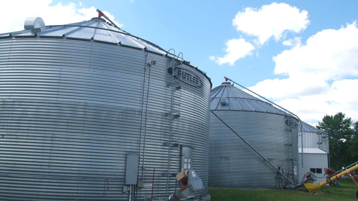 Grain Storage: 13 Signs Something Went Wrong - AgWeb