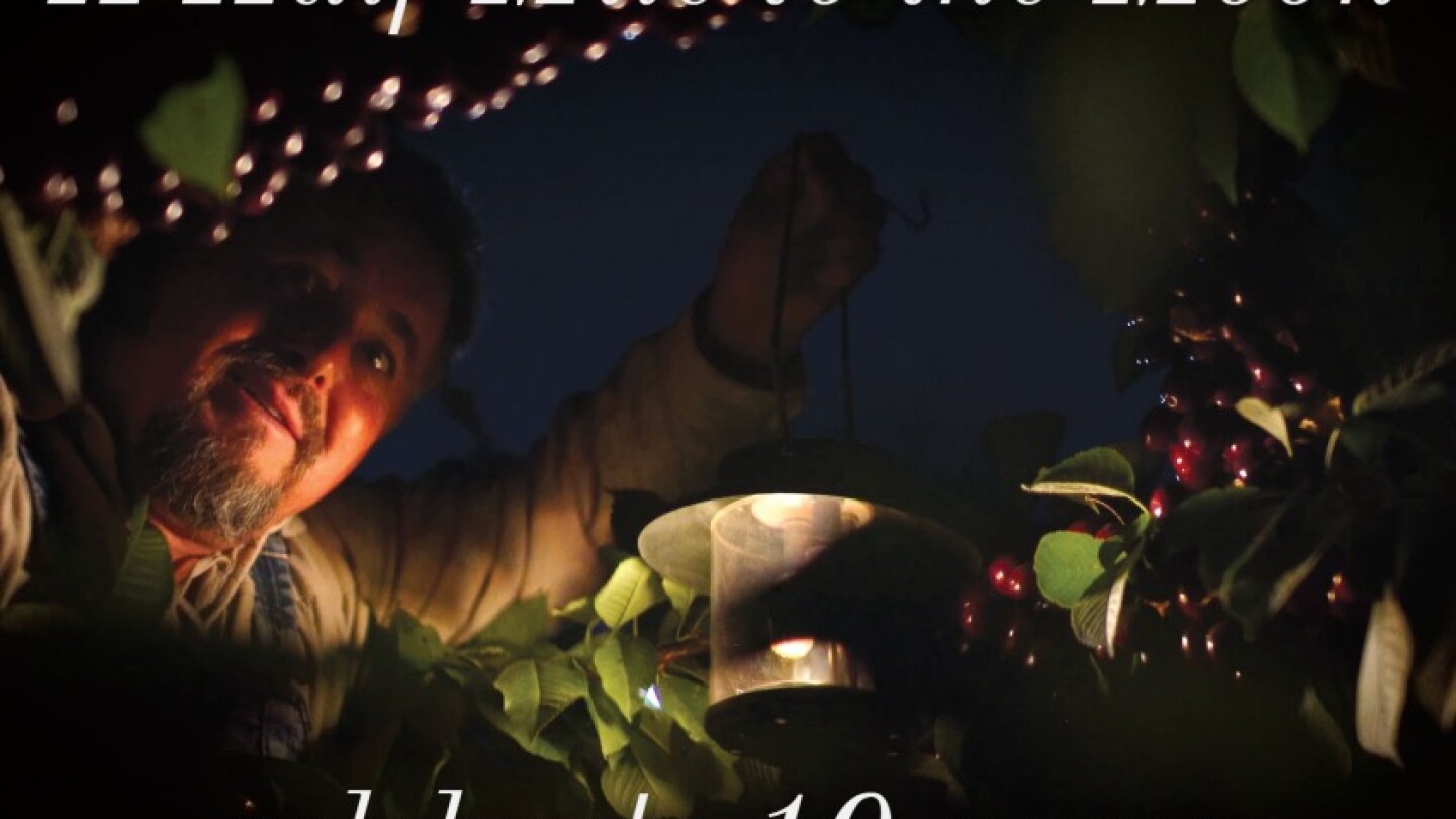 Stemilt celebrates 10 years of high-elevation cherries - The Packer ...