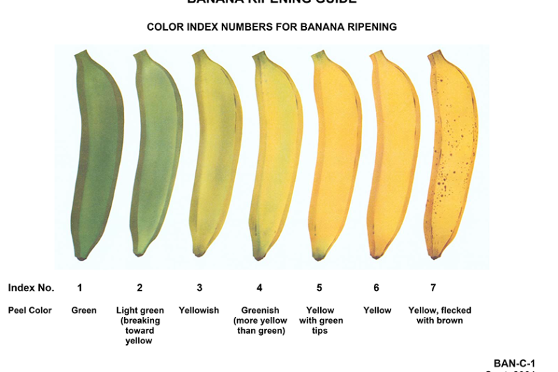 Judging a book by its cover — How to determine a ripe banana - The ...