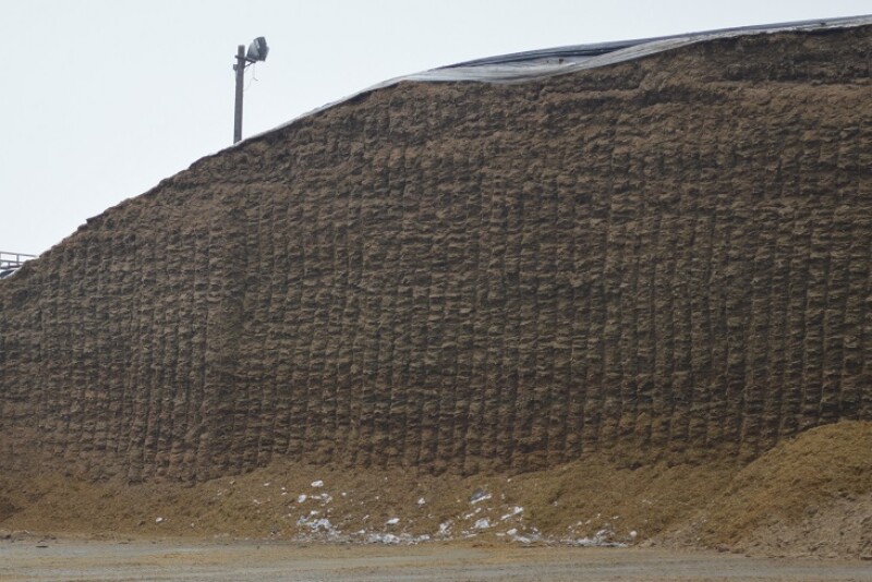 Is Subpar Silage Fermentation Degrading Amino Acids? - Dairy Herd