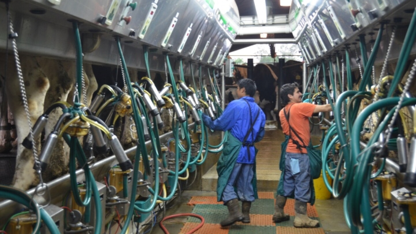 Future Dairy Outlook Points to Rising Production and New Price ...