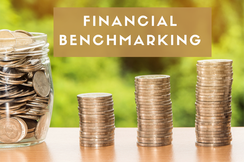 Financial Benchmarking – How Do I Stack Up? - Pork Business