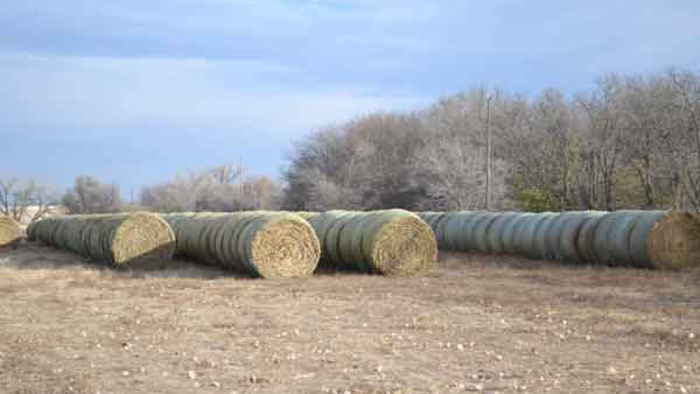 How Much Does a Round Bale Weigh? - Dairy Herd