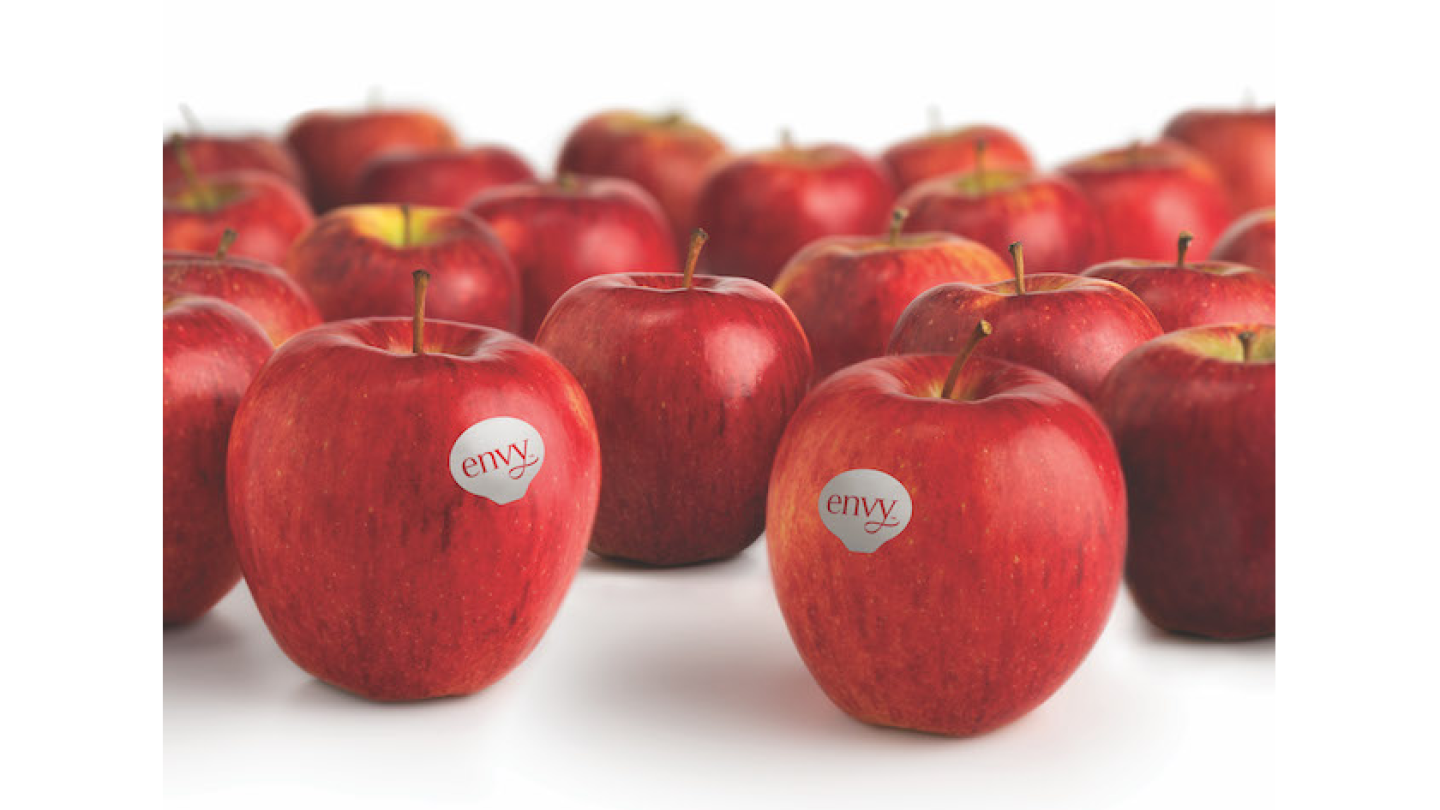 Envy apples nearly sold out in Washington - The Packer