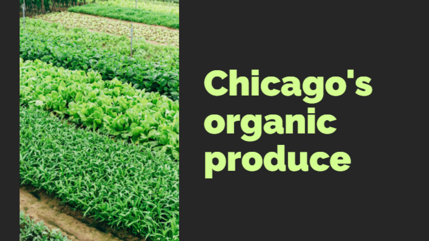 Organic produce in the Chicago market - The Packer