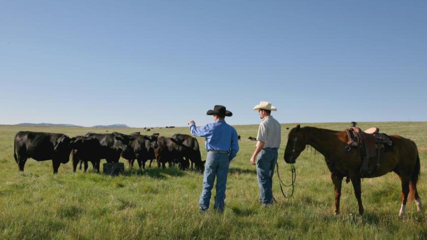 Five Tips to Prevent Quiet Quitting on the Ranch