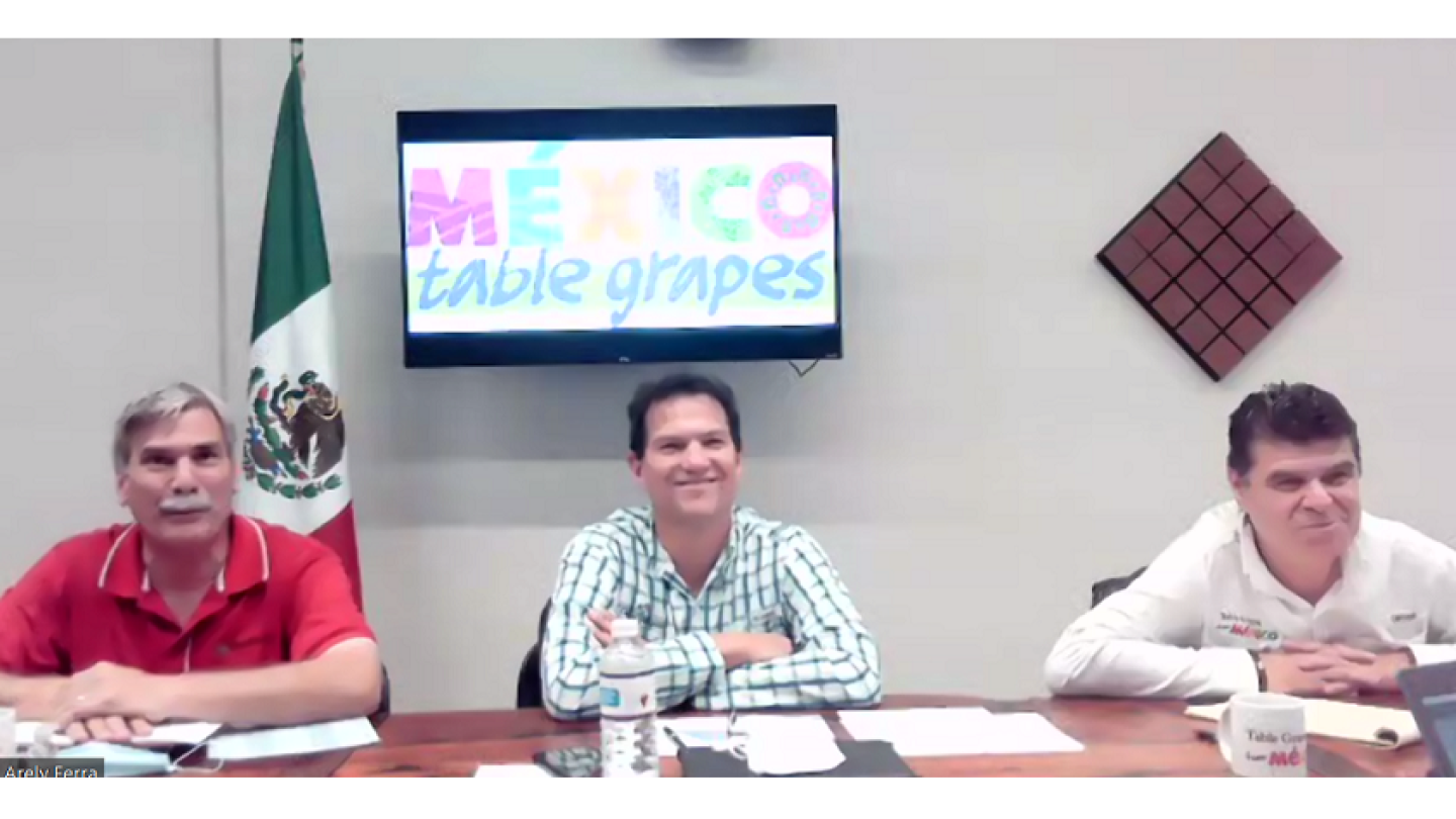 21.5-million box crop peaking in June for Sonora grape exporters - The ...