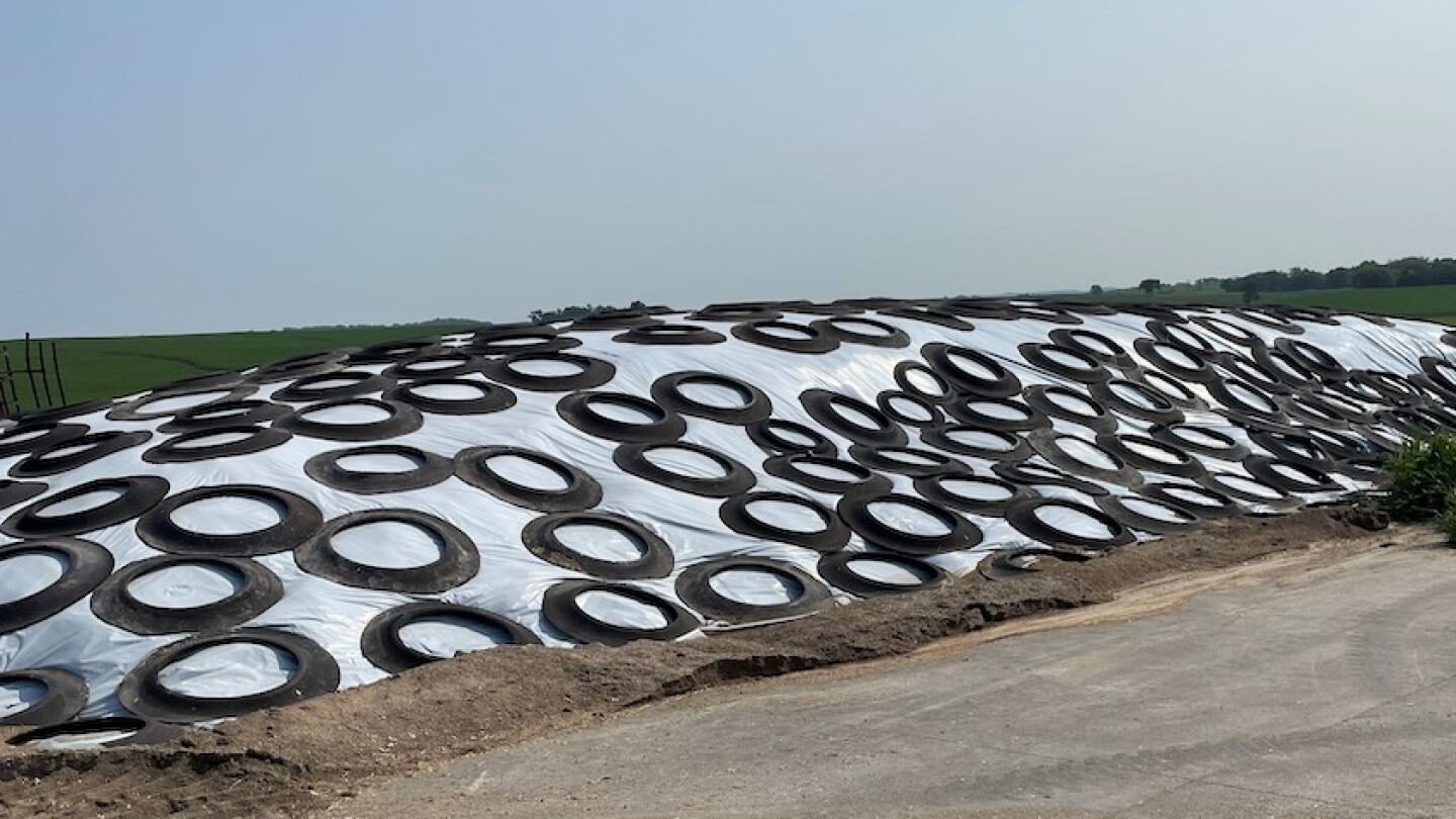 Critical Control Points of Feed Hygiene - Dairy Herd