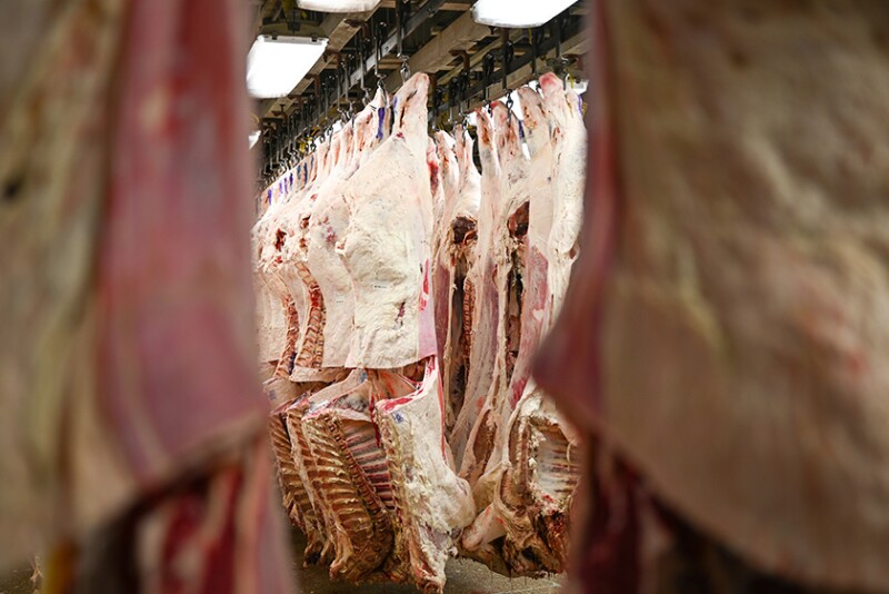 USDA Launches Grading Dashboard For Beef And Other Proteins - Drovers