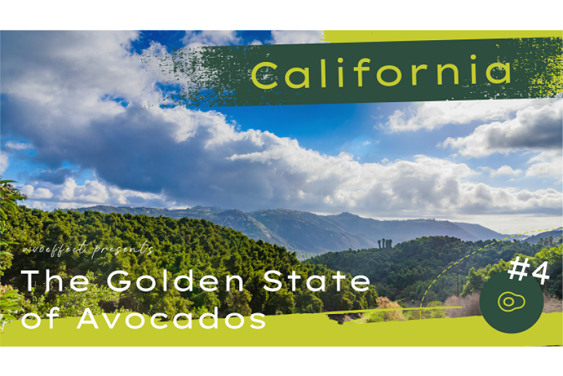 West Pak features California fruit in latest Avo Effect video - The Packer