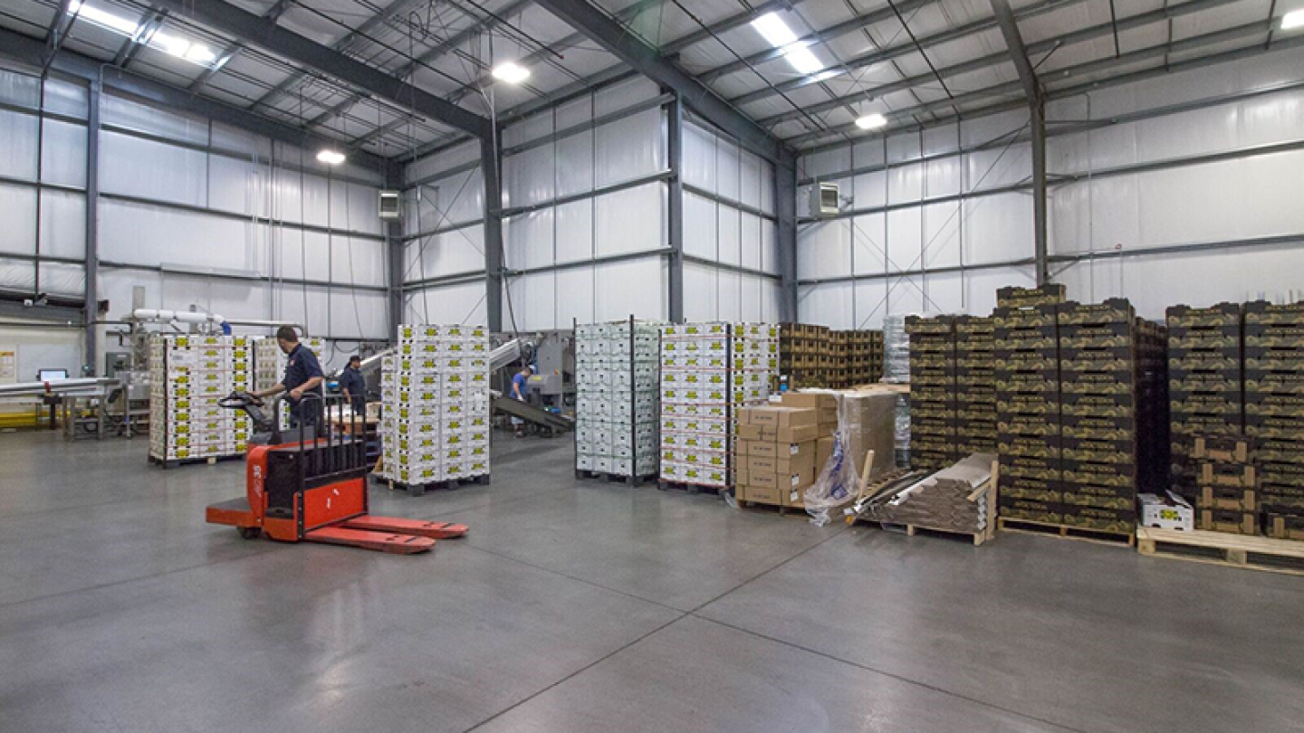 Del Rey Avocado’s eastern U.S. demand grows - The Packer - Fruit and ...