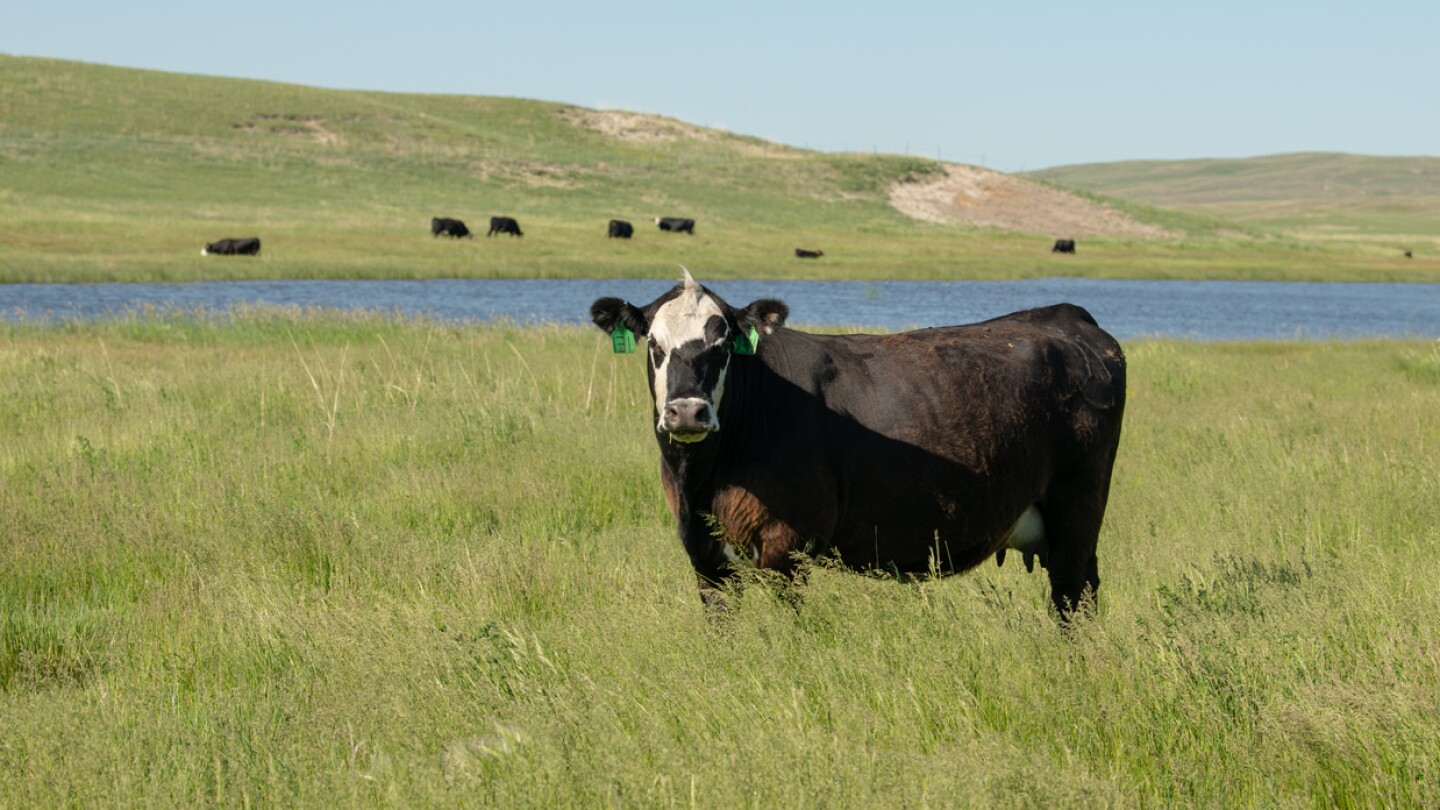 Envu Introduces New Features Within the RangeView™ Digital Rangeland Tool - Drovers