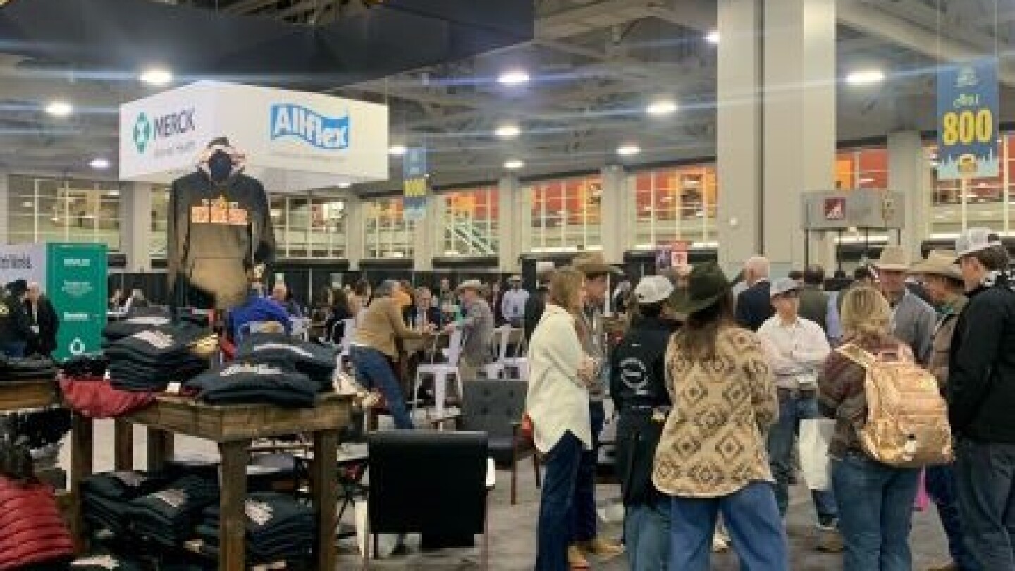 American Angus Association Concludes Strong Fiscal Year