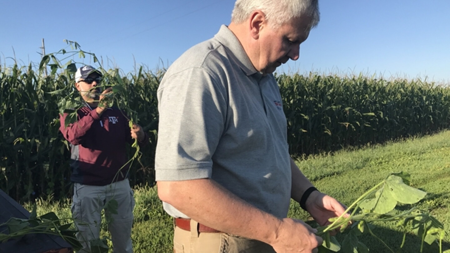 From the Rows | Peter Meyer—Day 3 - Pro Farmer