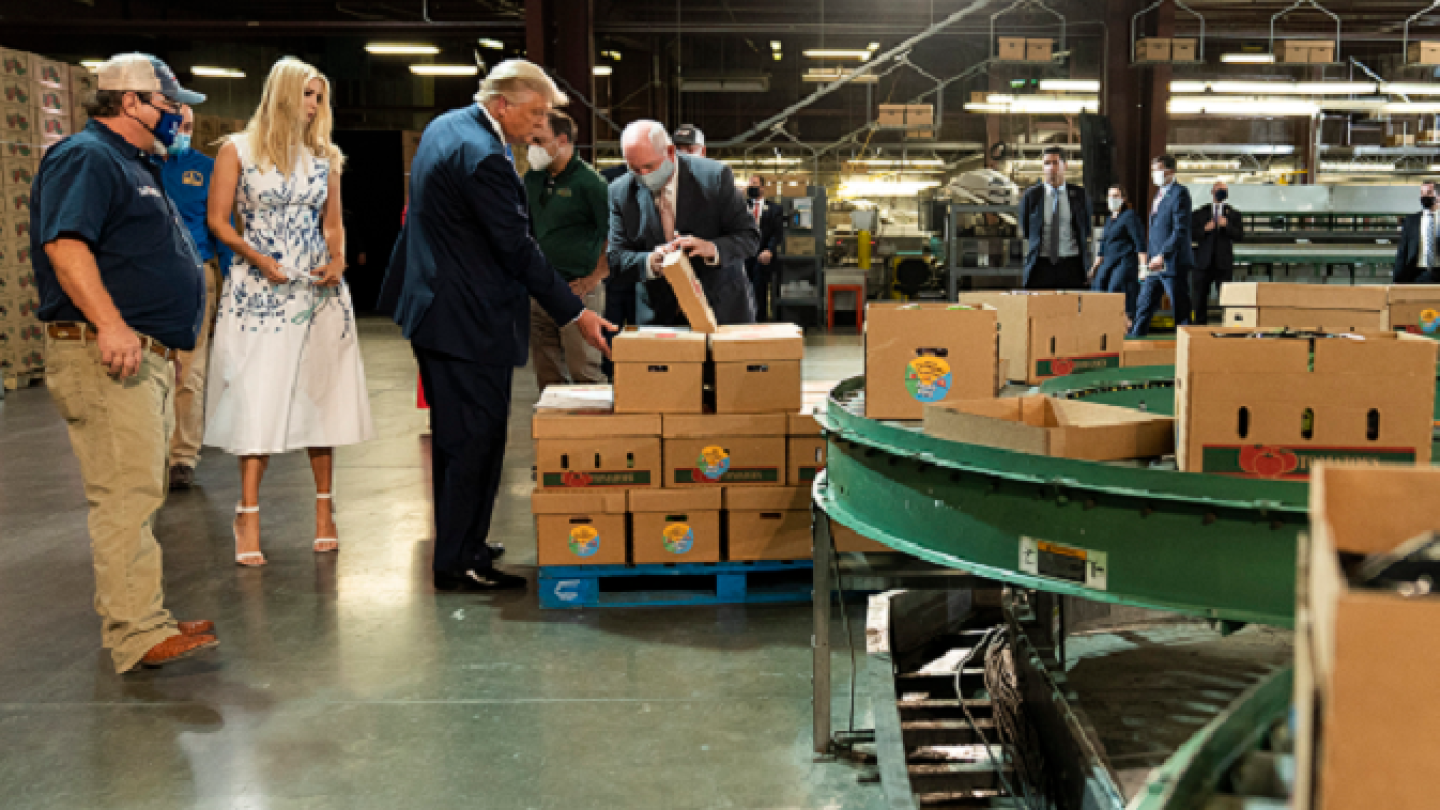 UPDATED: USDA allocates $500 million more for food box program - The Packer