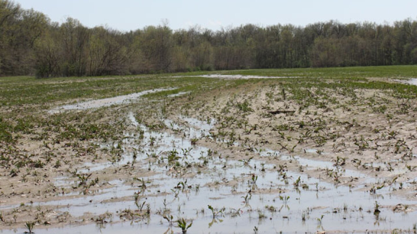 Missouri Farmers See Quick Start to Planting - AgWeb