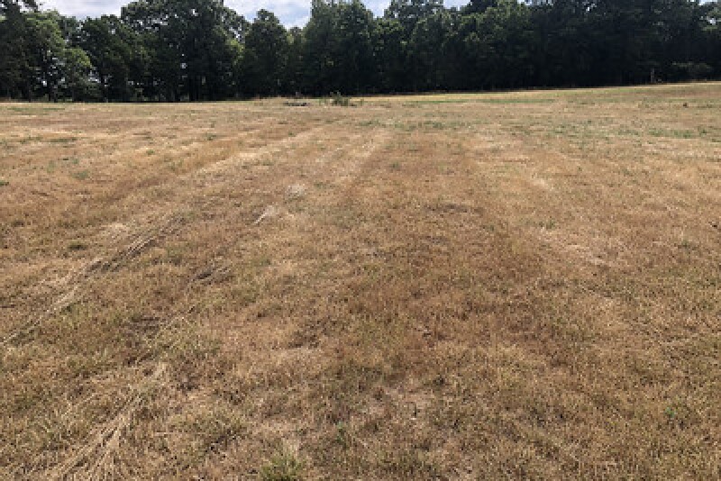 Tips To Manage What’s Left of Drought Pastures - Drovers