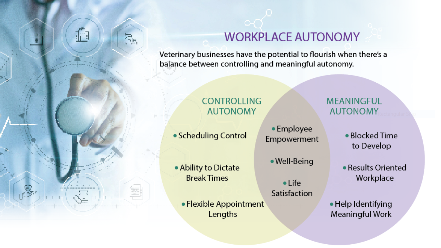 autonomy at workplace