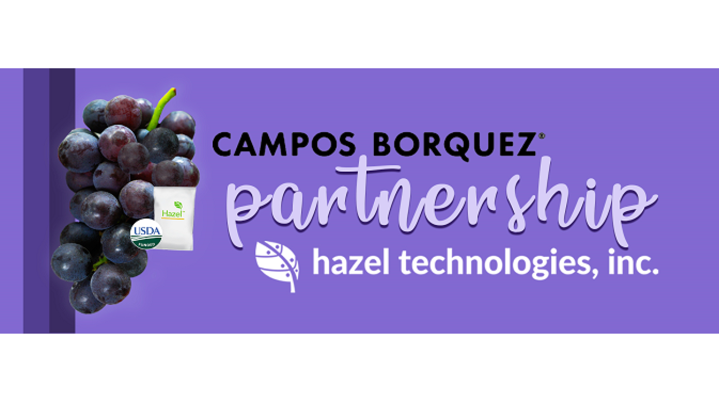 Shipper, study: Hazel Tech for grapes improves freshness - The Packer