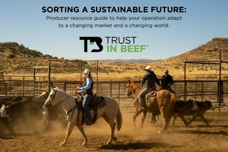 Free Resource Guide: Sorting A Sustainable Future