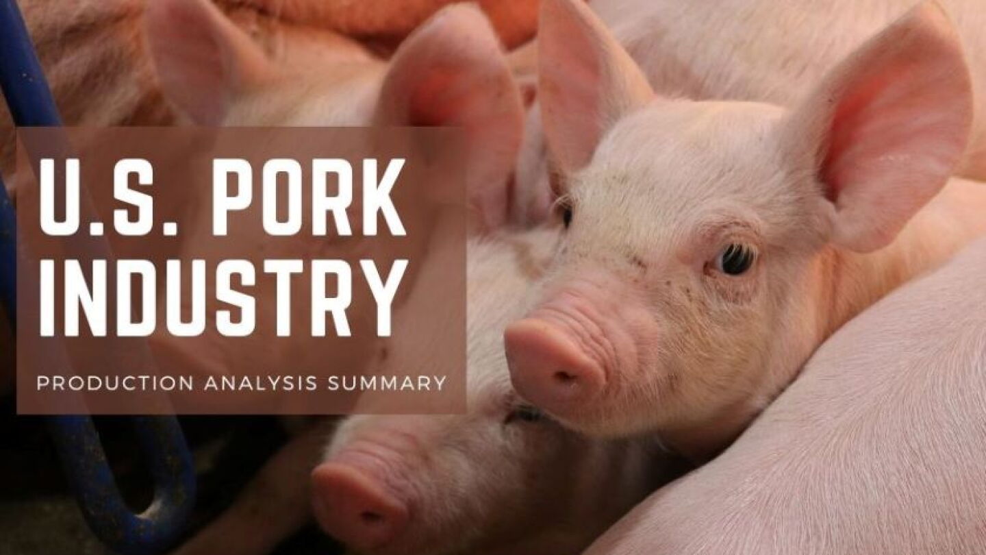 Mortality Continues to Challenge Pork Producers - Pork Business