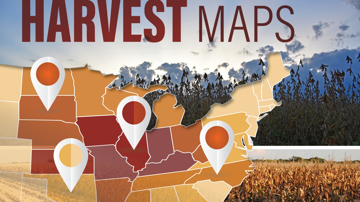 #harvest21: See How Your Yields Stack Up - AgWeb