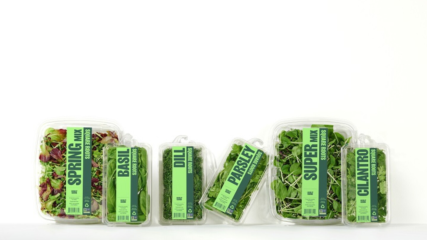 Square Roots unveils new brand identity - The Packer