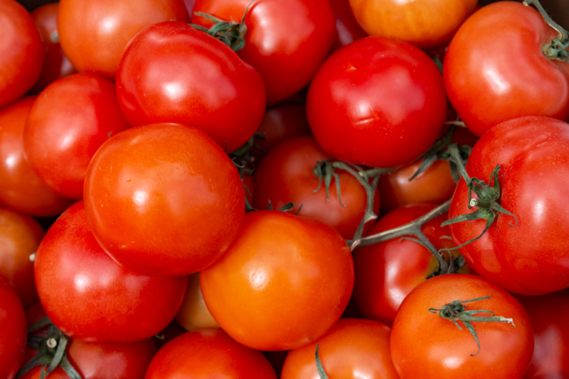 Mexican tomato imports rise in volume and value - The Packer